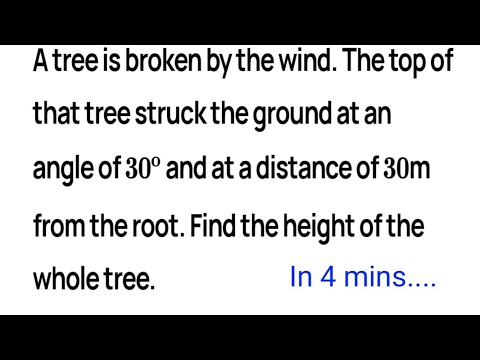 Class 10- A tree is broken by the wind the top struck the ground at an ...