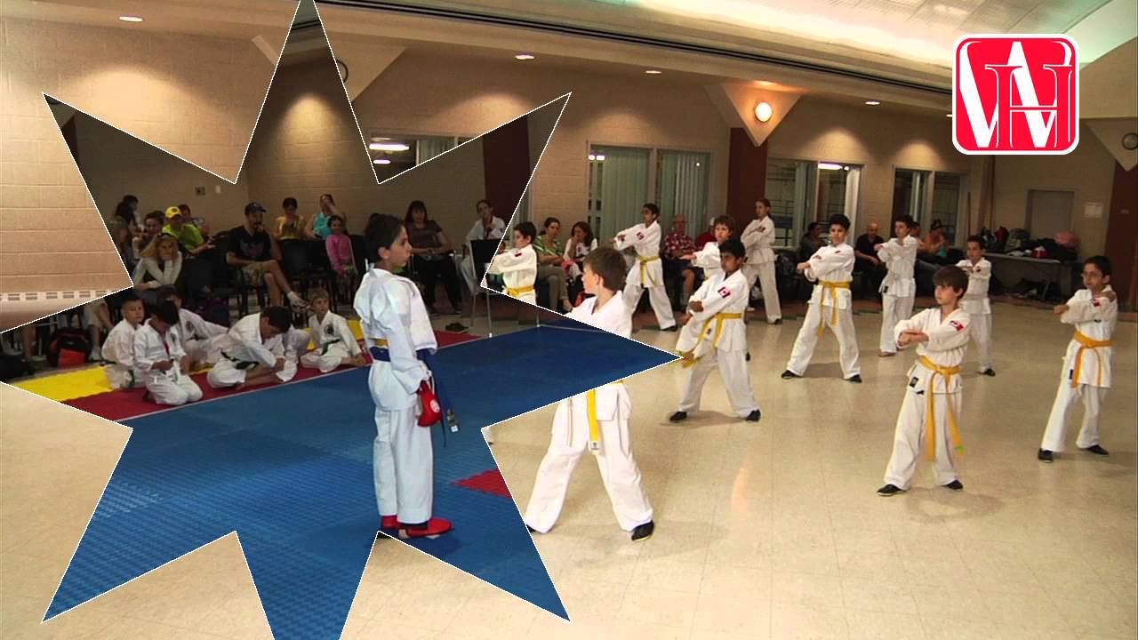 Welcome House Karate. June 1 2014. International Children Day Seminar ...