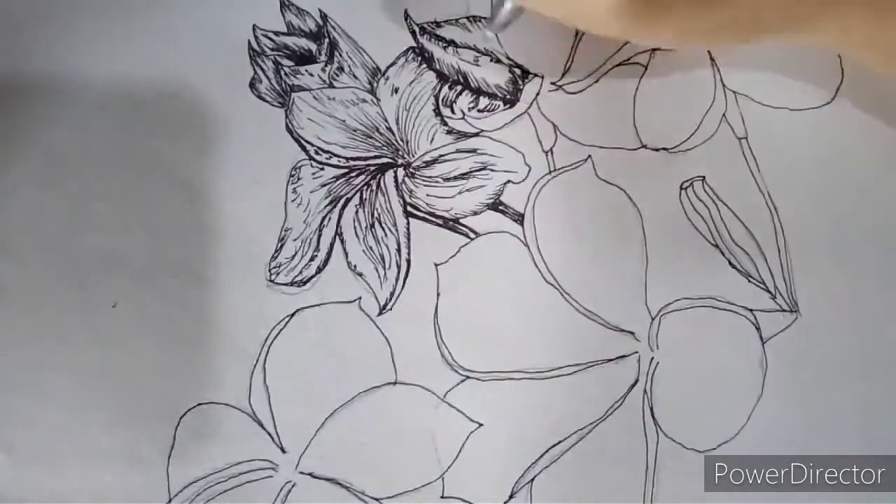 How to draw a flower in simple ballpen | for beginner - YouTube