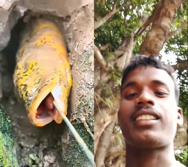 Outdoor eel fishing tricks, empty hooks and head fishing tricks, real outdoor wild fishing surpr ...