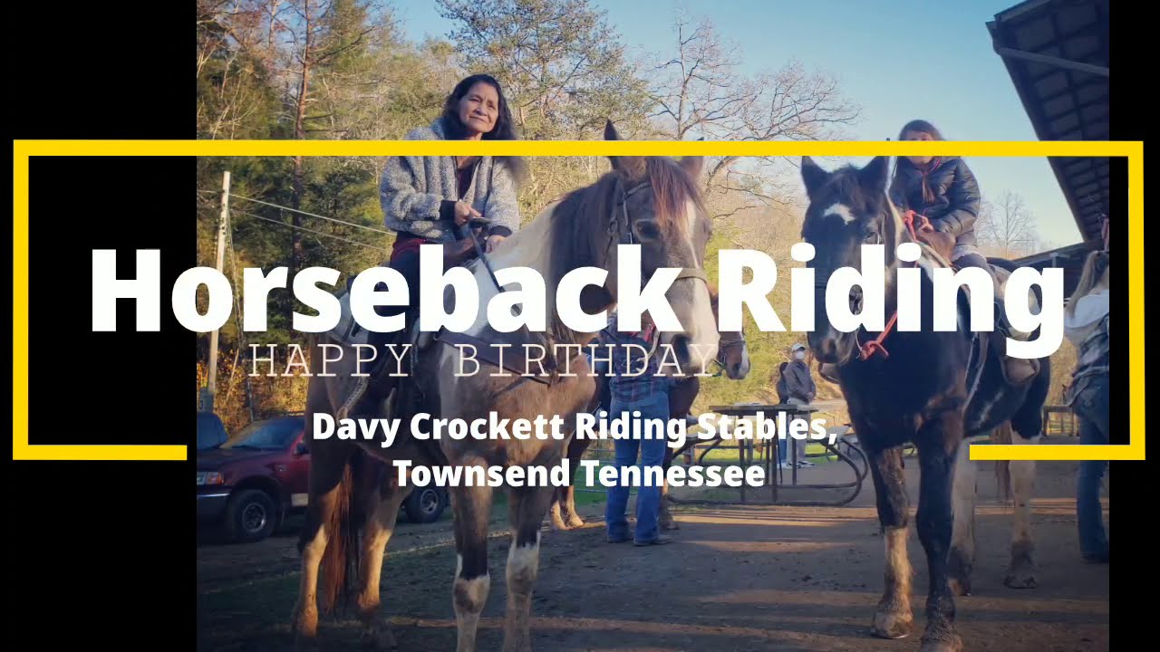#withKaren Horse Backriding @Davy Crockett Riding Stables - YouTube