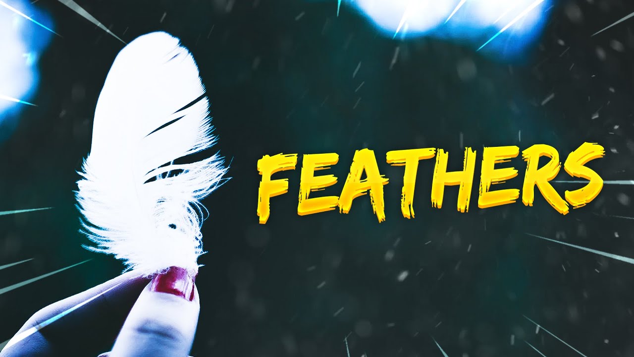 Feathers (The Song) DON'T LET CHALLENGES STOP YOU FROM LIVING! THEY ARE ...