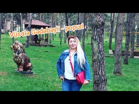 Vüsalə Gədəbəyli - Aynadan gözəl | Ay eyvandakı / Qazaxdadır ay Balam _ popuri #musiqi #saz  #trend