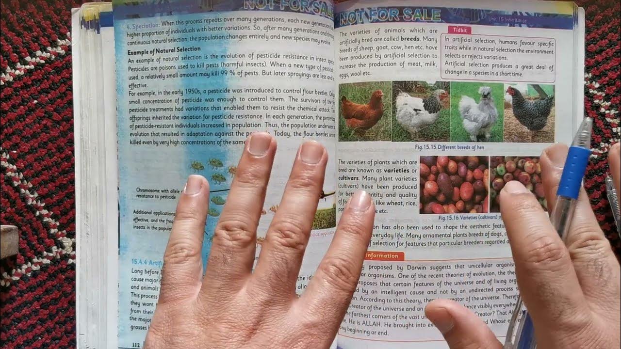 Artificial Selection and Crops Improvement _ Inheritance Unit 15 ...