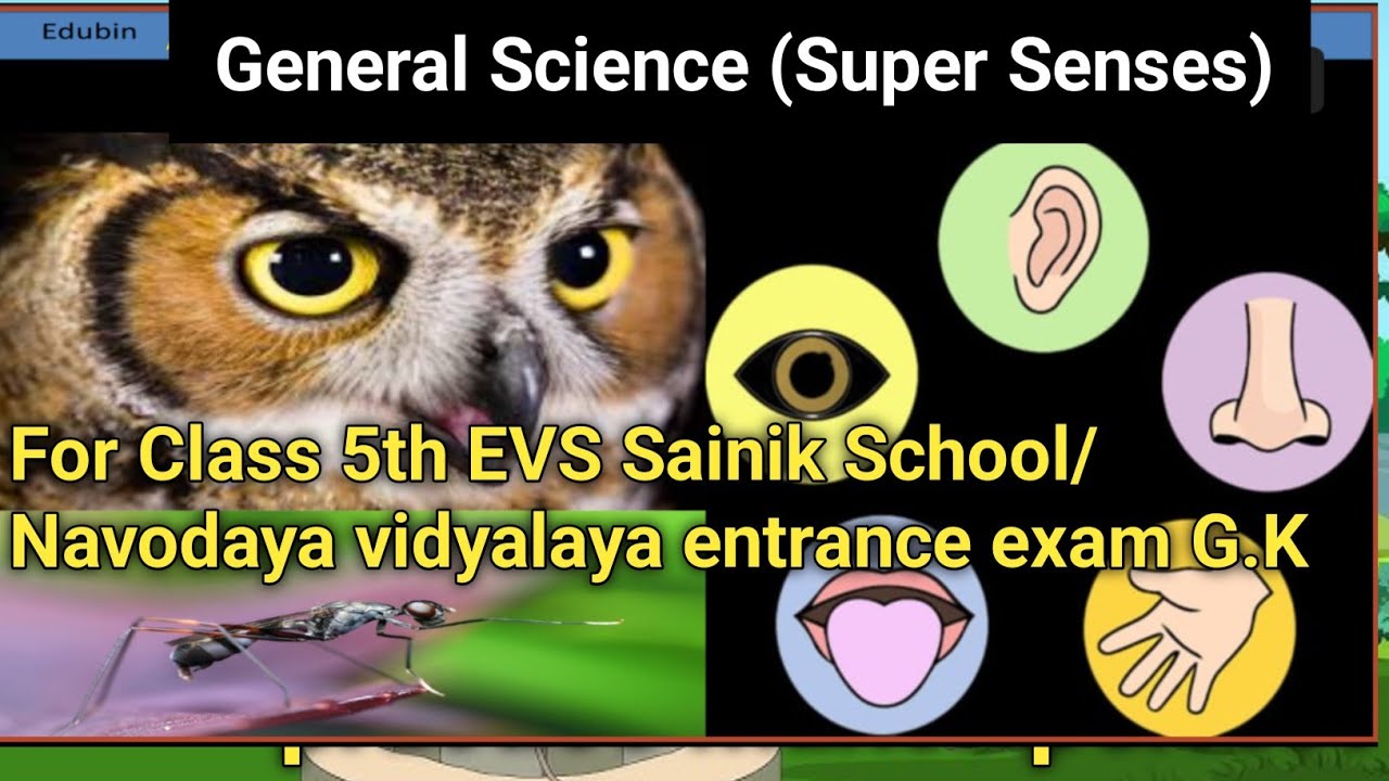 Super senses of animals l Sainik School/Navodaya G.k l General Science ...