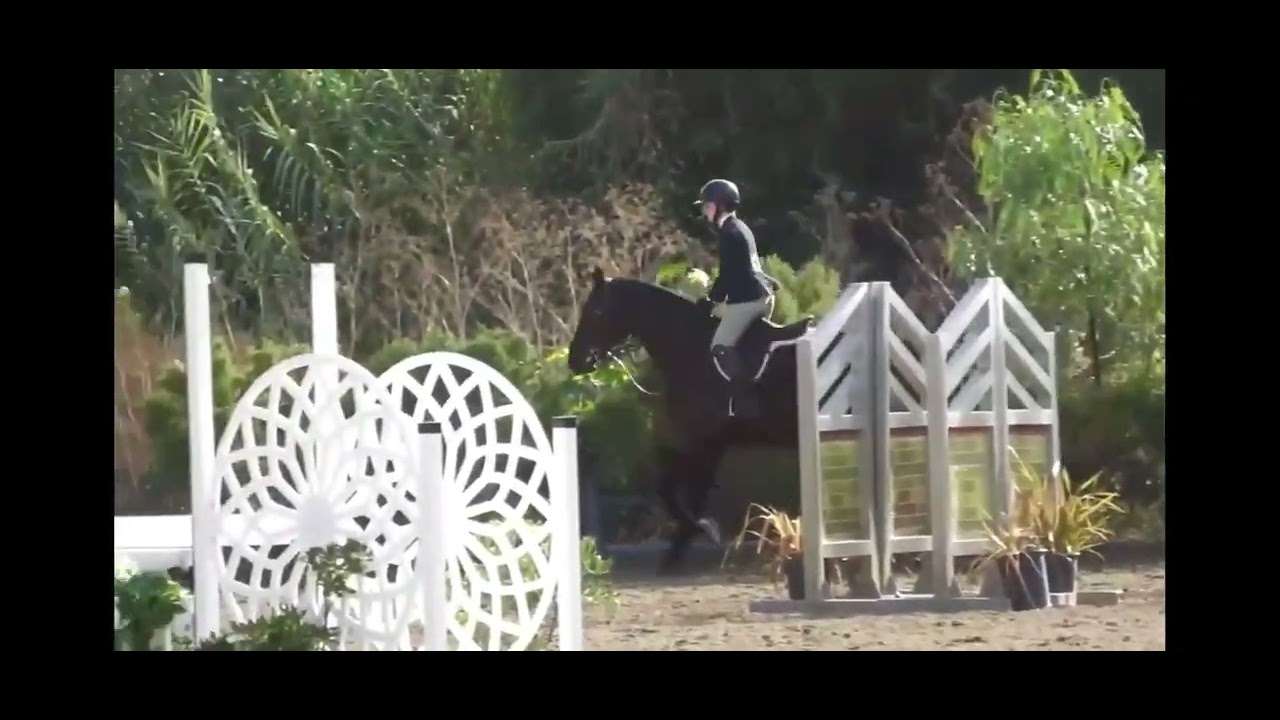 2024 Catch Ride 15-17 Age Eq 3'3 - YouTube