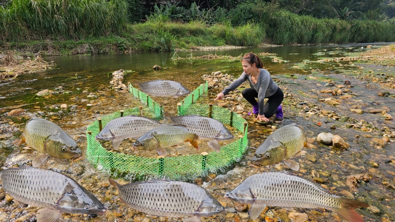Fishing in the stream using traditional methods. The girl caught a lot ...