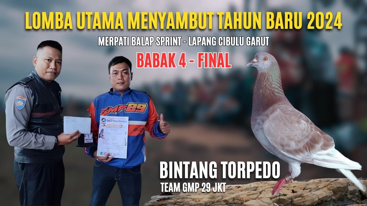 makin seru !! lomba UTAMA merpati balap sprint garut, menyambut tahun ...