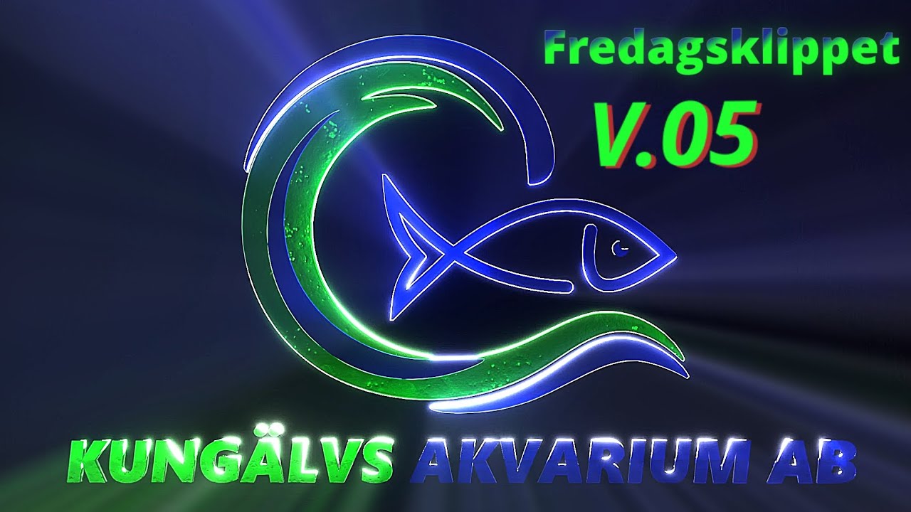 Kungälvs Akvarium Fredagsklippet V.5 (Massor med roliga fiskar, nytt ...