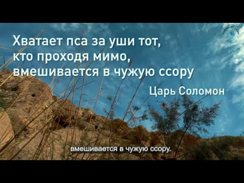 Мудрости царя Соломона: не хватайте пса за уши