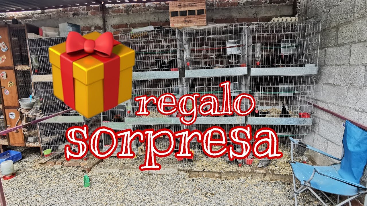 Nos llego un regalo para Rancho la Amenaza Ep. 60 - YouTube