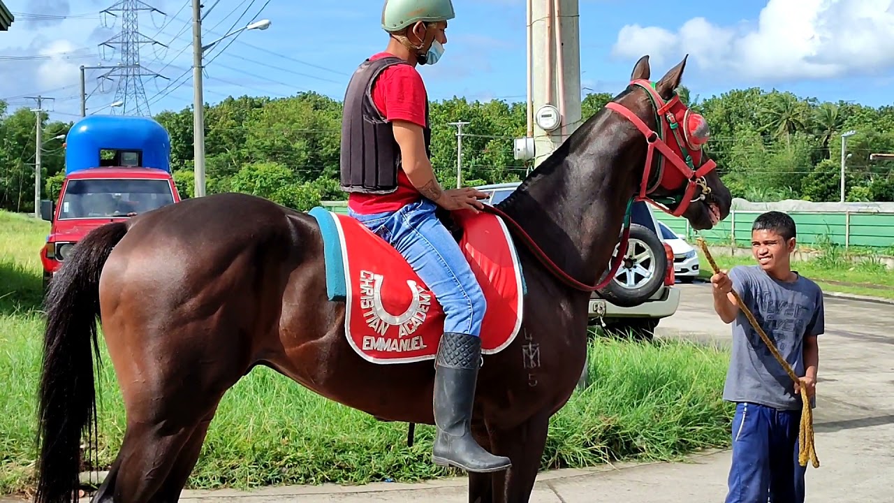 TIP NI TAKESHI🐴METRO TURF MALVAR BATANGAS🐴 NOV 10 2021 WEDNESDAY🐴 ...