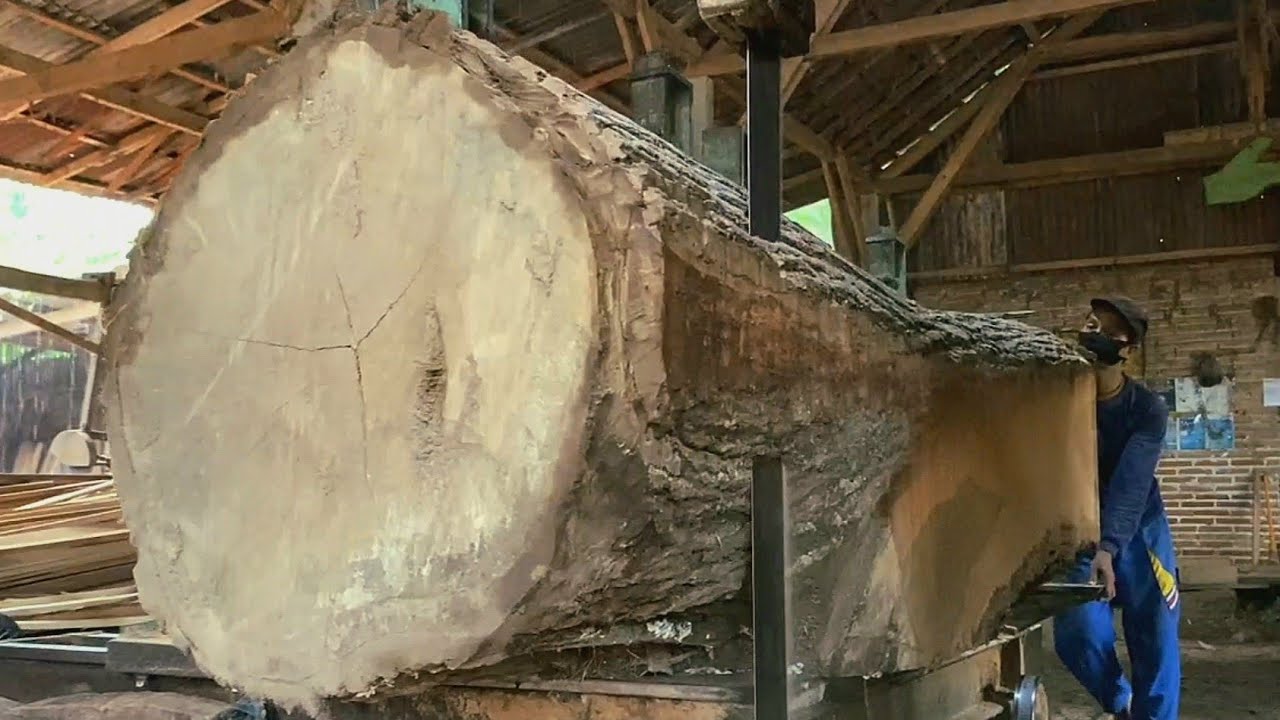 Sawing waru wood to make plank: solid business inspiration from a homemade sawmill on palm Coast ...