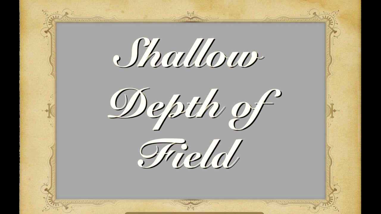 Videography Techniques: Using Shallow Depth of Field - YouTube