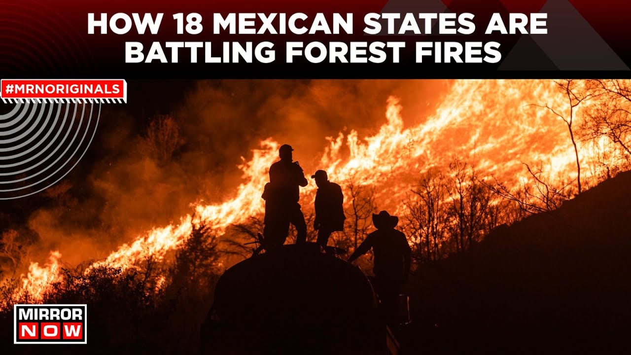 Mexico Wildfires | Devastating Forest Fires Burn In 18 States, Fuelled ...