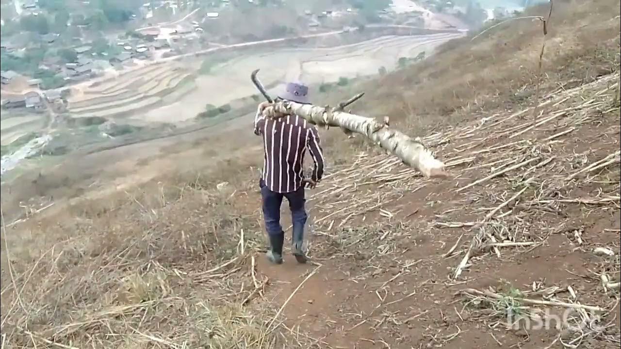 peb mus luaj teb o - YouTube