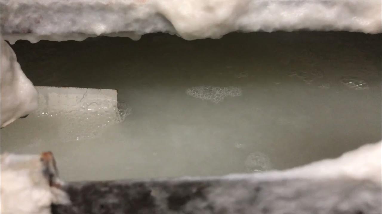 molded pulp fiber forming - YouTube