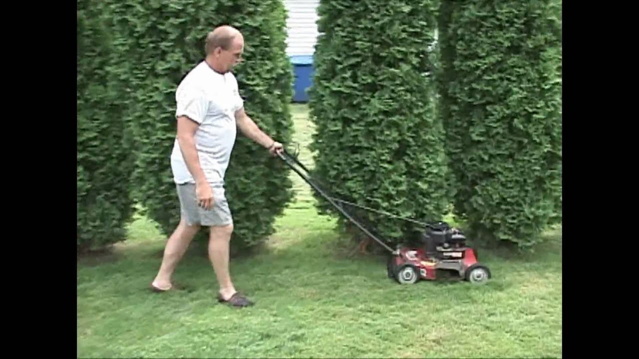 Offset handle for push mower trimmer - YouTube