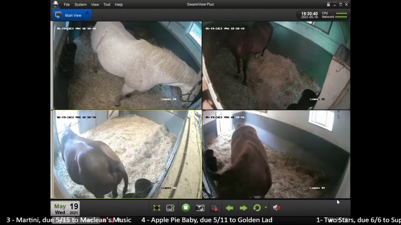 Country Life Foaling Cameras - YouTube