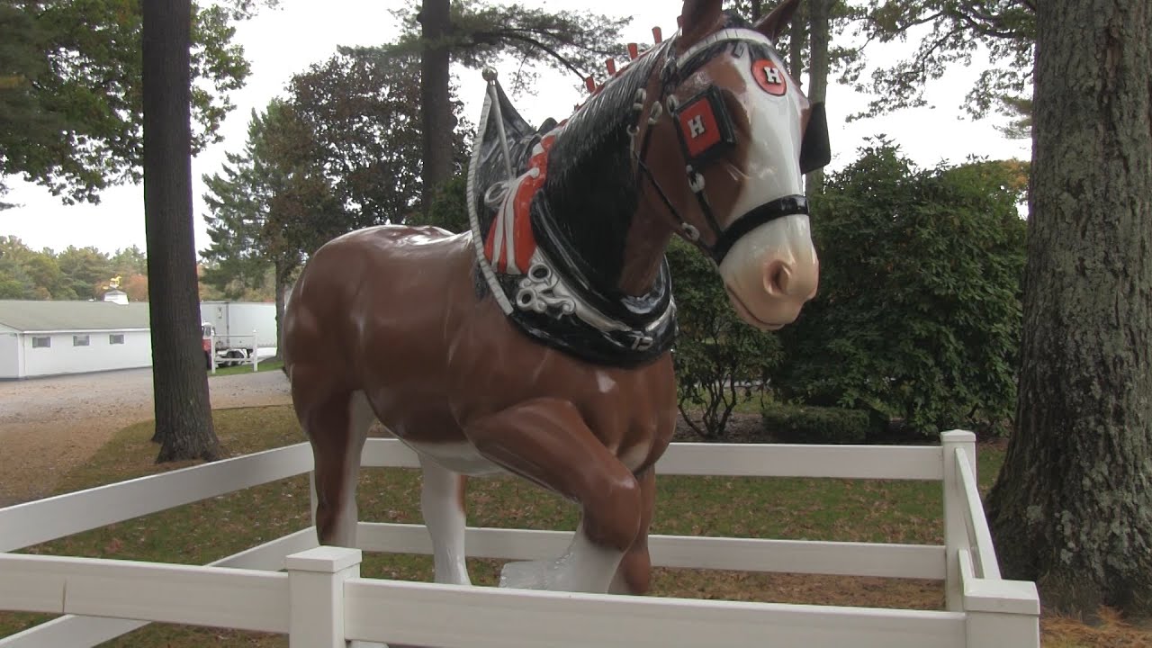 PCN AHT Parade Special Hallamore Clydesdales - YouTube