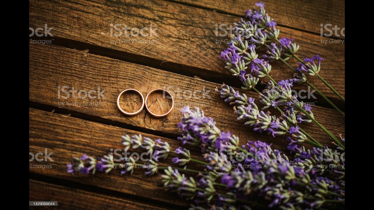 Live:- II wedding II Manjot kaur Weds Baldeep singh Video By Gurjit ...