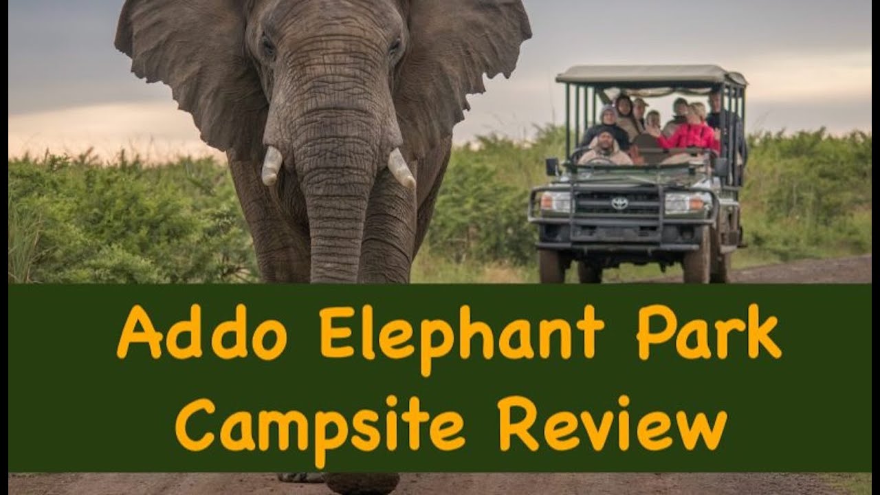 Addo Elephant Park Campsite Review (Mind the train!) - YouTube