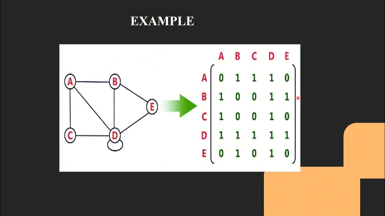 GRAPHS(Directed & Undirected) - YouTube