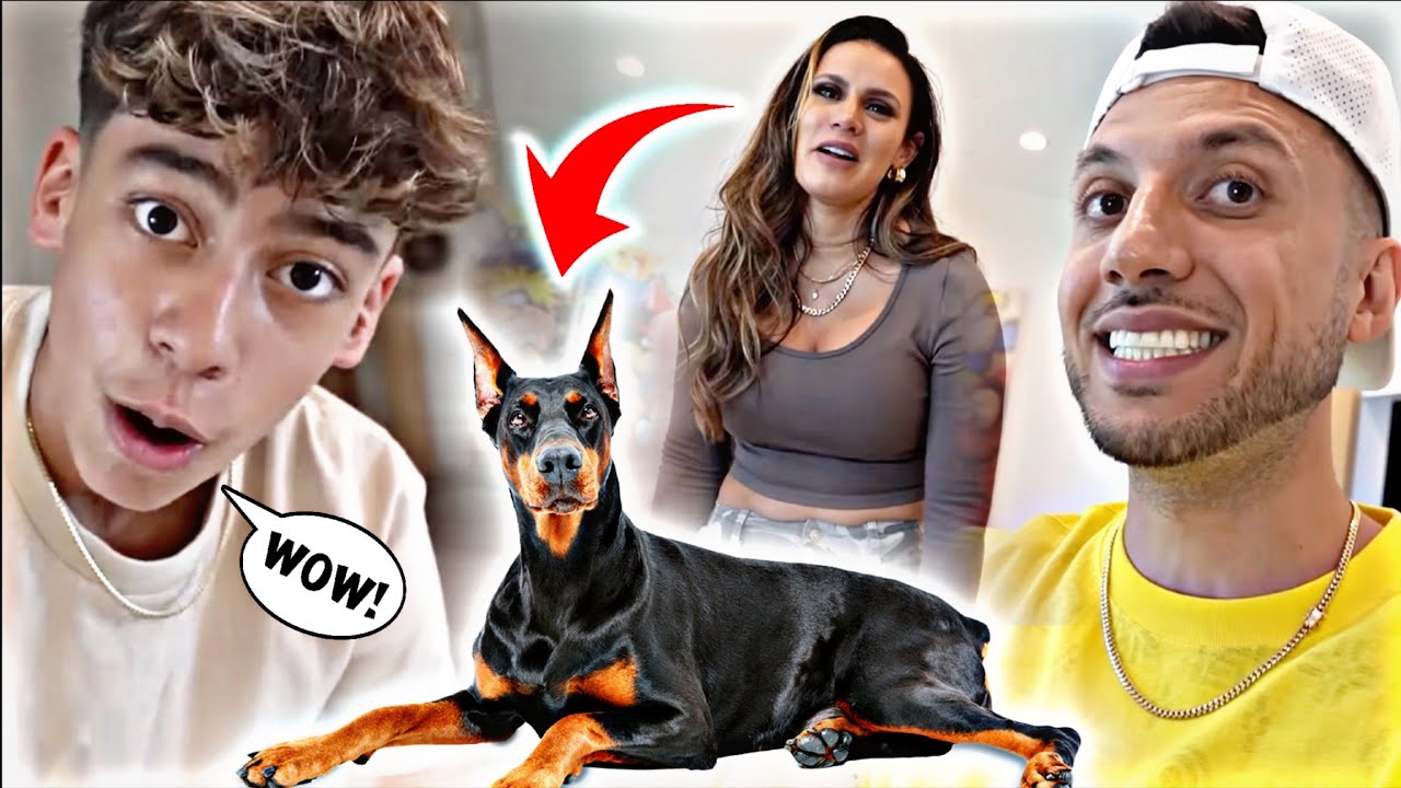 The Royalty Family | The Most Adorable New Puppy Surprise Ever! 😍🐶 ...