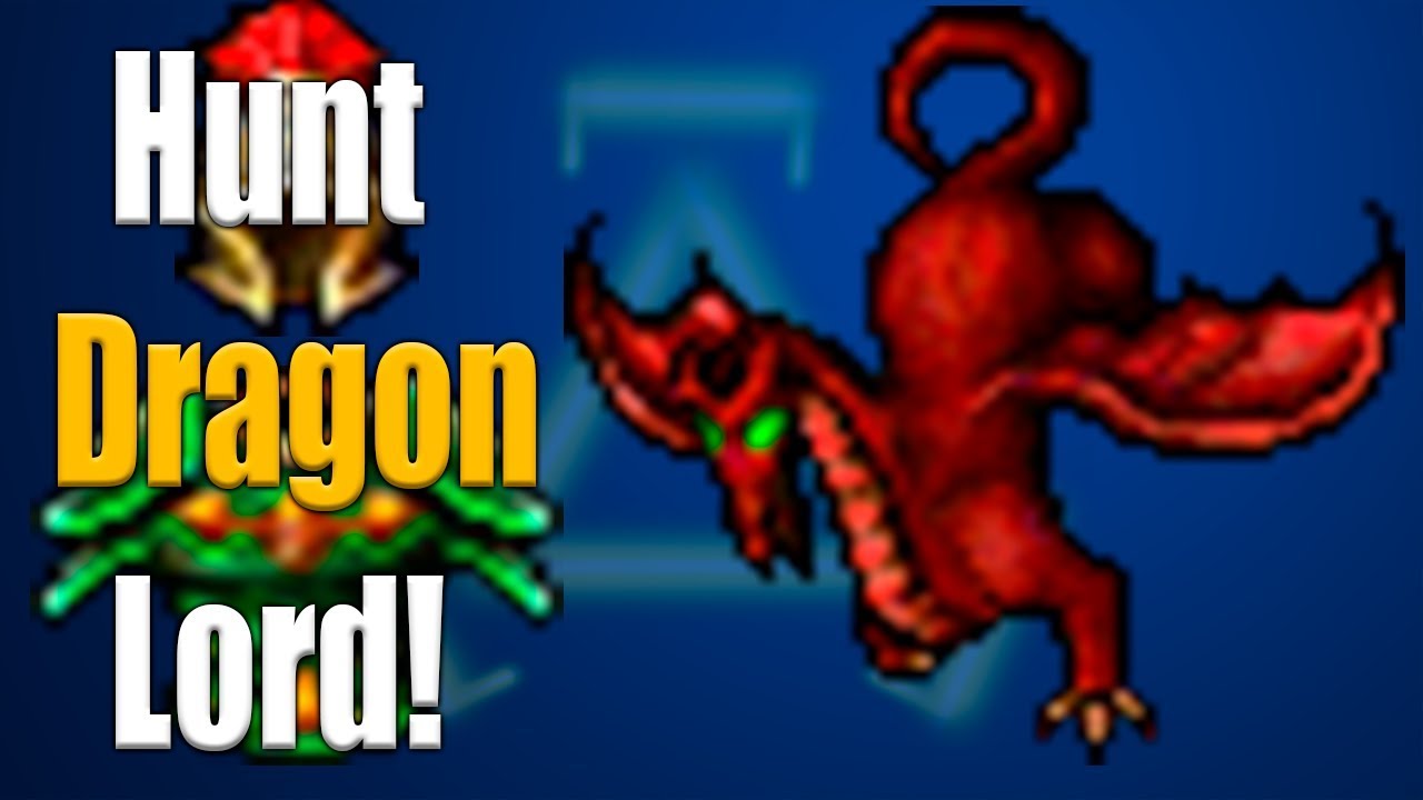 MS 50 Hunt Dragon Lord - Tibia Hunts #26 - YouTube
