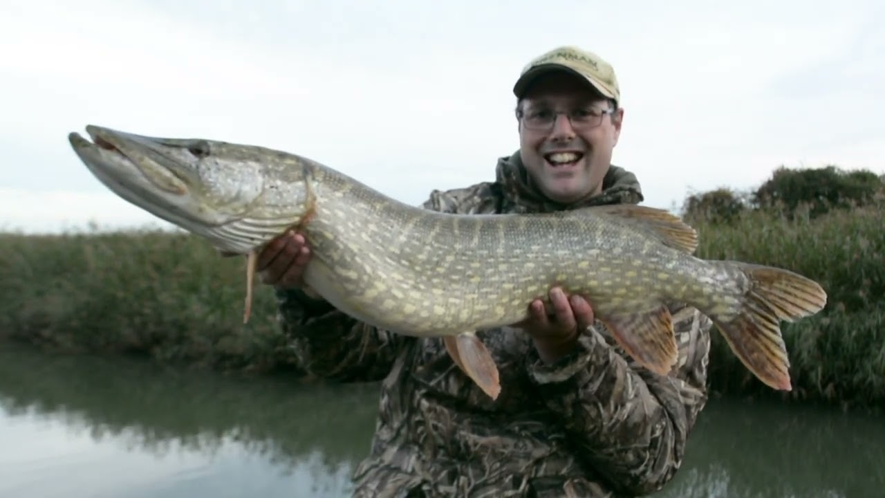 River Pike Fishing Using Dead Baits #pike #pikefishing - YouTube