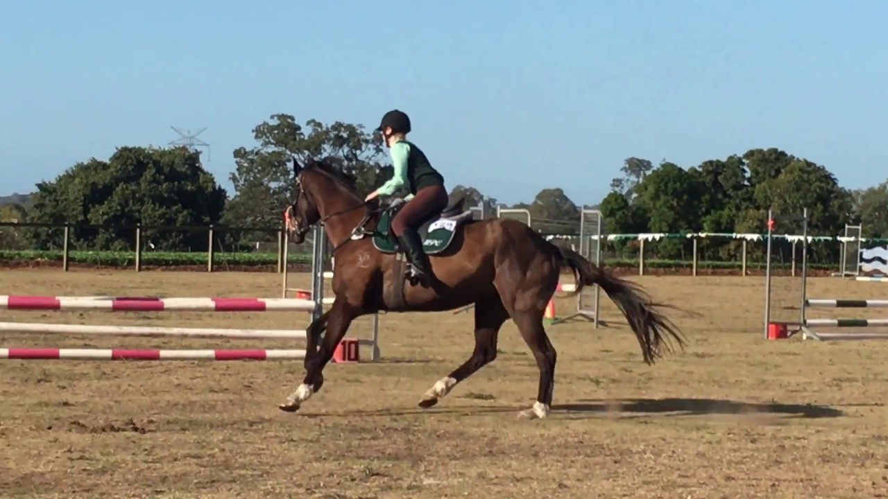 Sammy "Hot Wheels" Aiken's Showjumping 5 of 5 - YouTube