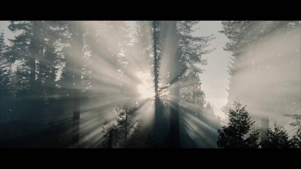 Snow Cinematic B-Roll - YouTube