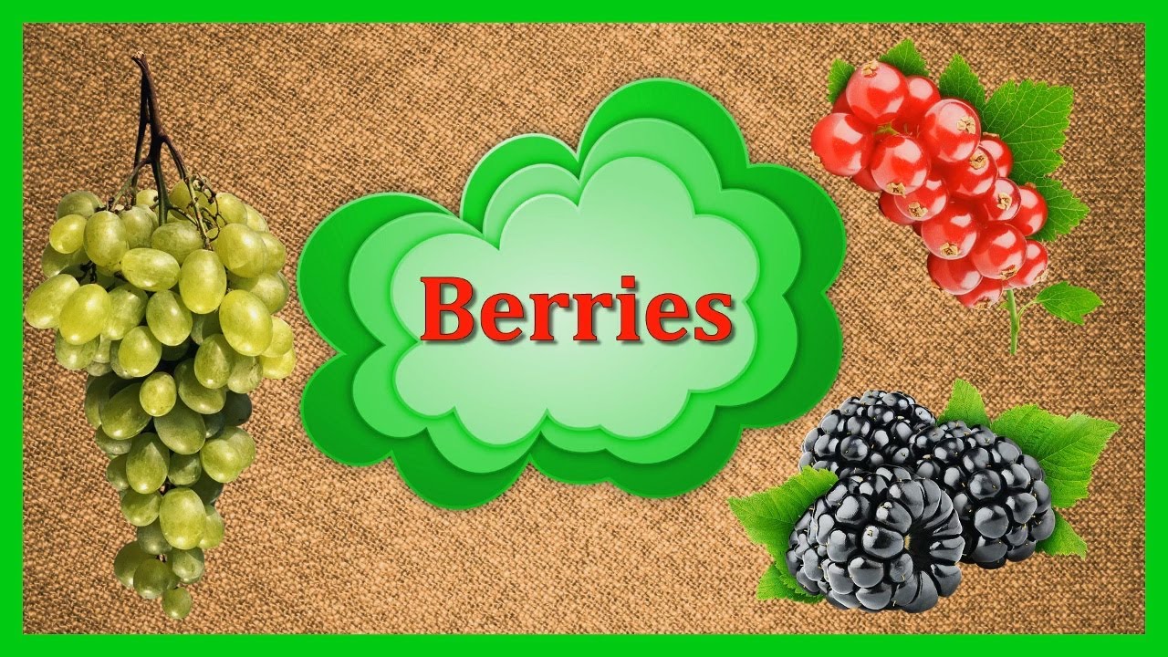 BERRIES🍒 Glenn Doman Flash Cards | Educational cards Doman - YouTube