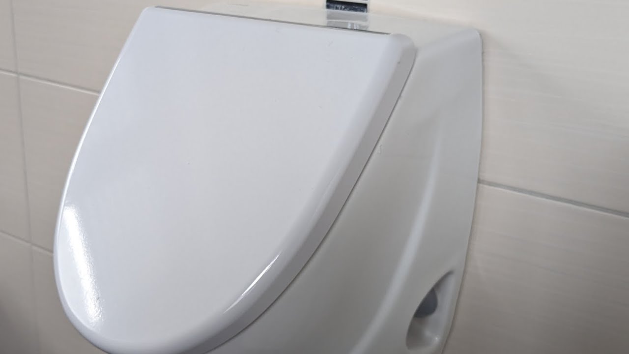 Urinal, Pissor, Toilette verstopft, Syphon austauschen DIY - YouTube