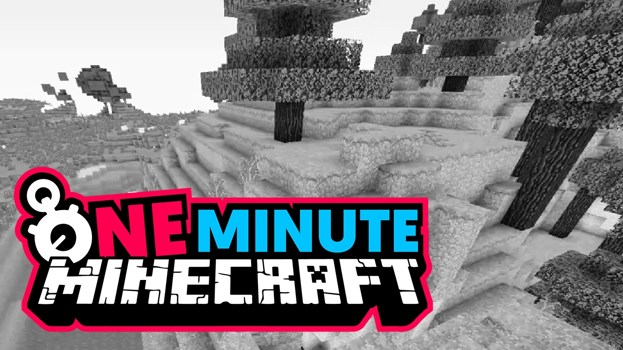 Wie ist so eure Meinung? - "ONE MINUTE MINECRAFT" #0040 - YouTube
