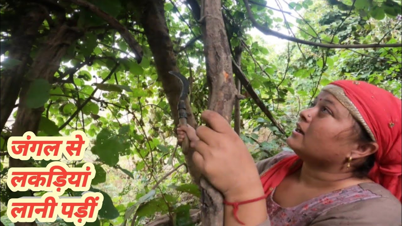 बहुत दूर से आज लानी पड़ी लकड़ियां | pahadi lifestyle vlog | monu jes pahadi - YouTube