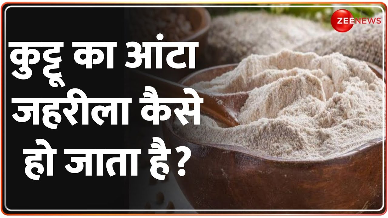 कुट्टू का आंटा जहरीला कैसे हो जाता है? | Kuttu Ka Atta | Explained ...