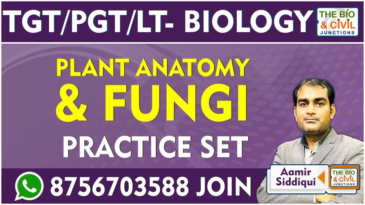 UP, JSSC, CG TGT/PGT/LT BIO || PLANT ANATOMY & FUNGI (PRACTICE) || Aamir Sir || THE BIO JUNCTION ...