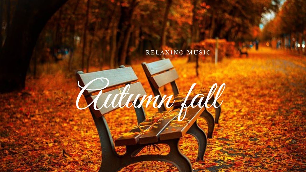 Relaxing Music - Nature Sounds - Autumn Forest HD - Autumn Music 🎶 ...
