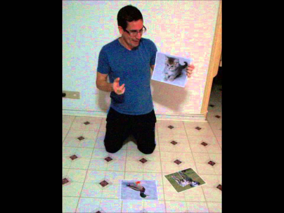 Language Stars Recruiting- Reinaldo Gutierrez - YouTube