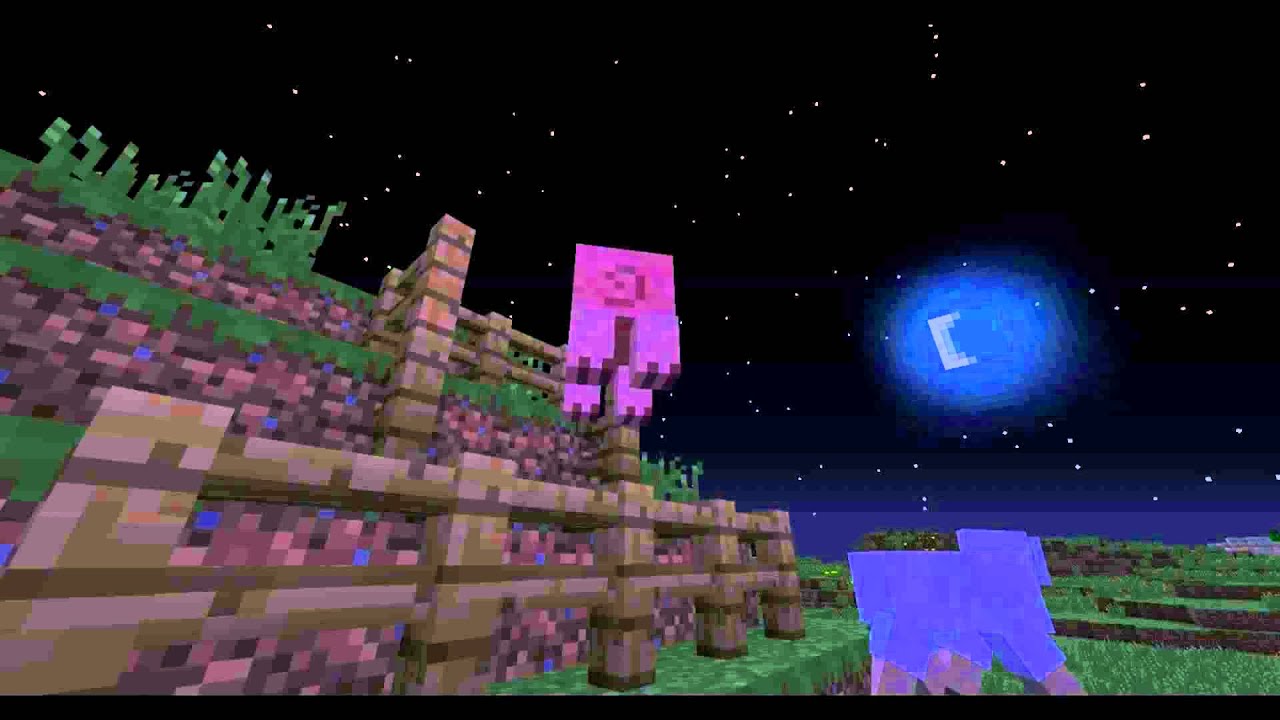 Minecraft, Pig Vs. Sheep - Weird 360 Glitch! - YouTube