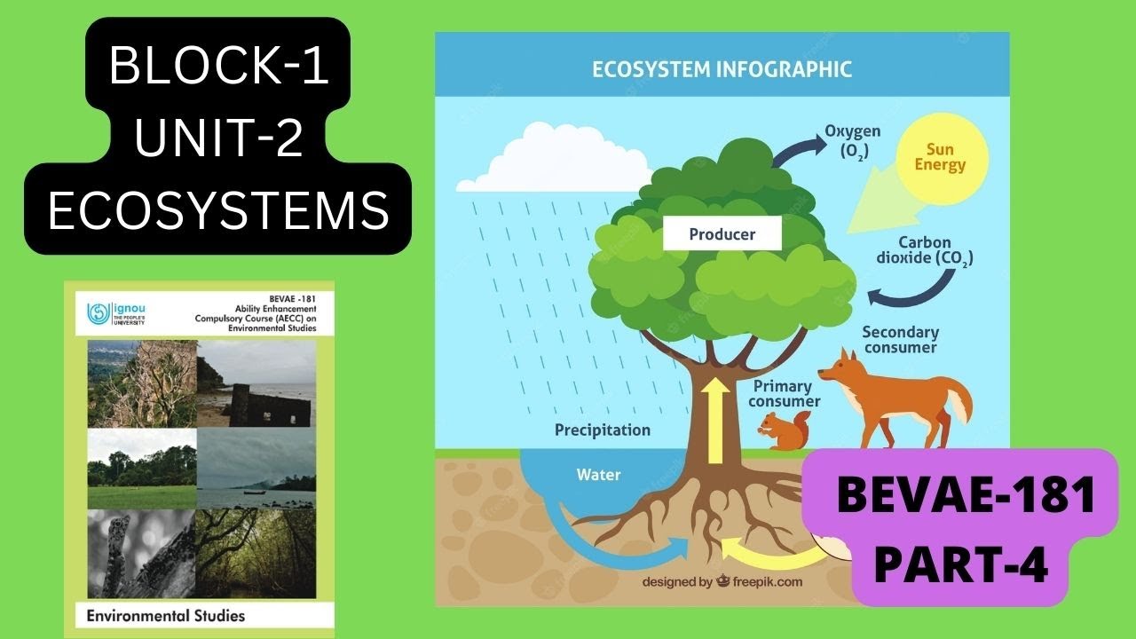 BEVAE-181..Block -1.Unit-2..PART-4..ECOSYSTEMS - YouTube