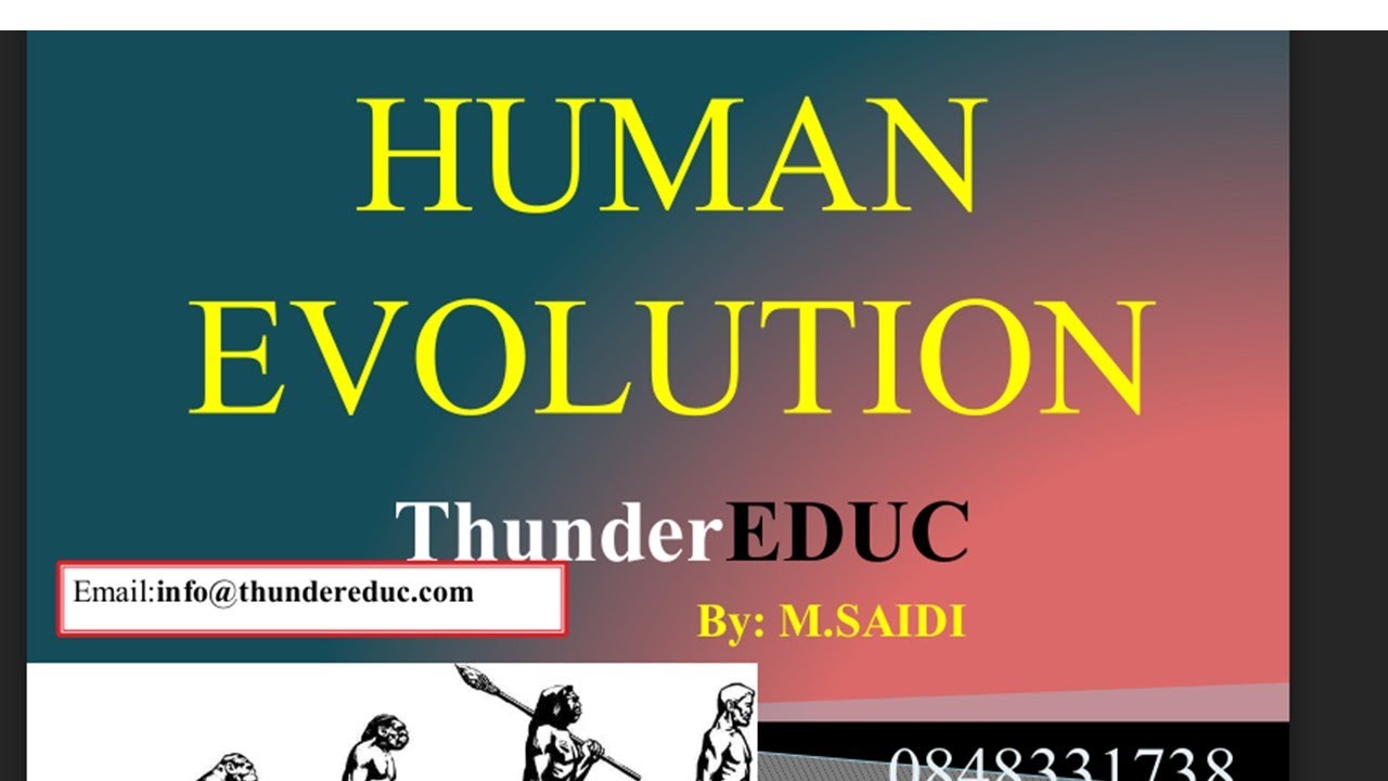 2022 evolution by natural selection GRADE 12 PREP [THUNDEREDUC] BY: B.SAIDI - YouTube