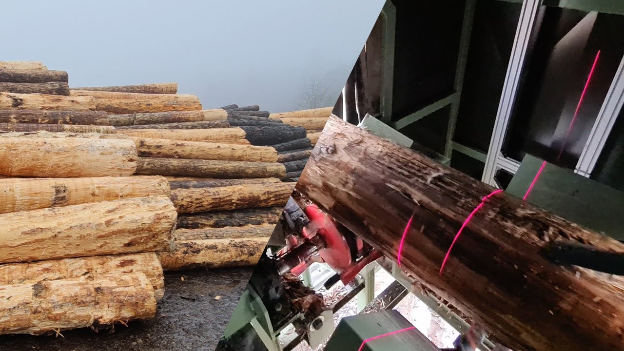 SMARTI WS 3000 Log Scanner - PETKOVSEK Slovenia - YouTube