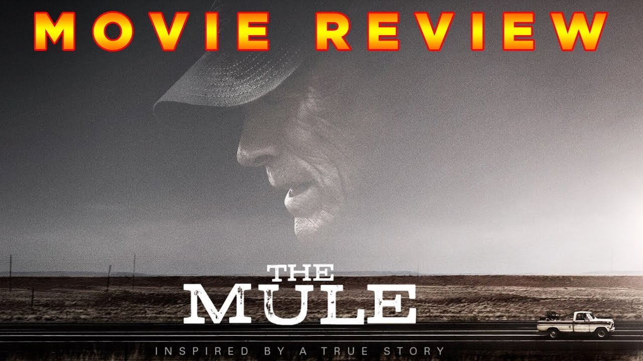 The Mule Movie Review Clint Eastwood, Bradley Cooper - YouTube