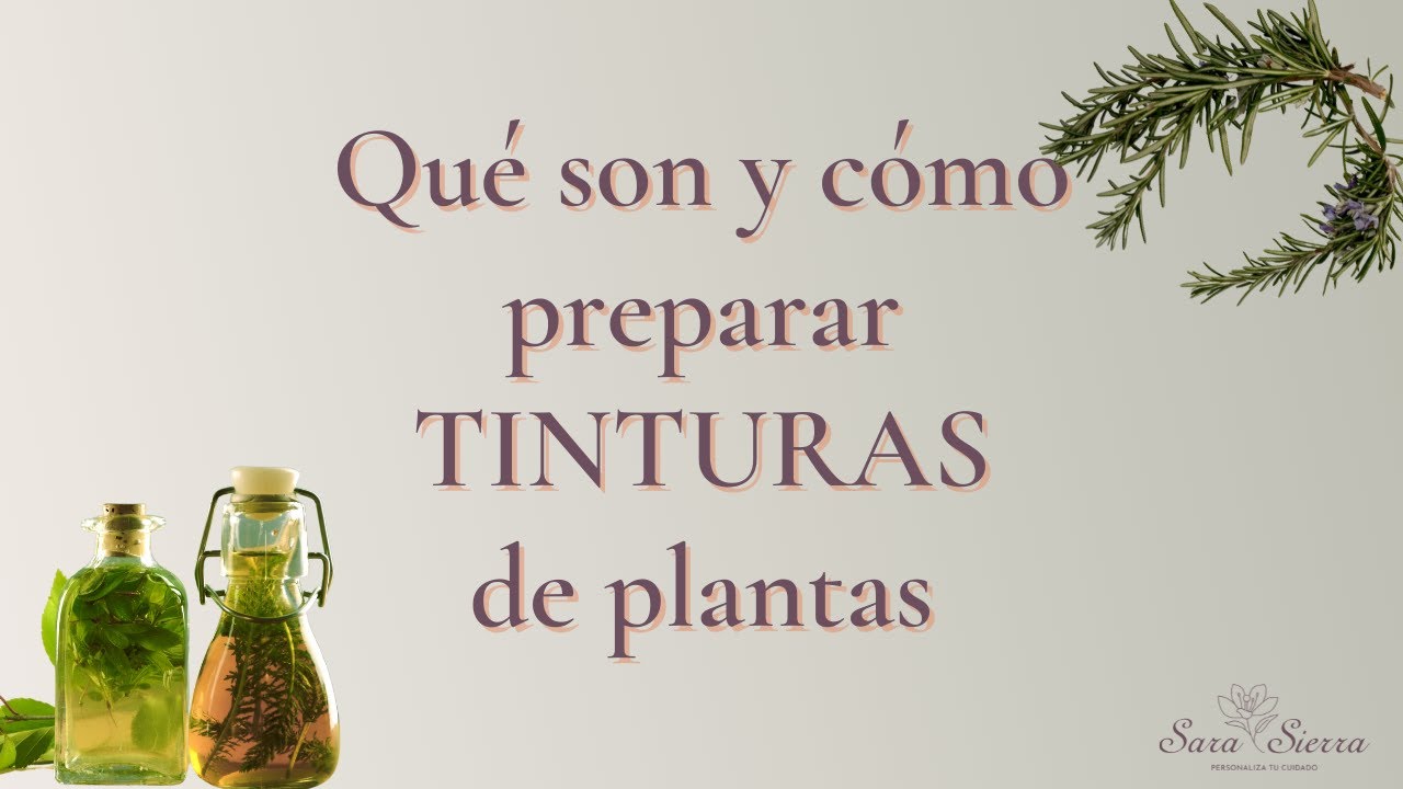 Qué son y cómo preparar TINTURAS de PLANTAS MEDICINALES 👩🏻‍🏫CURSO ...