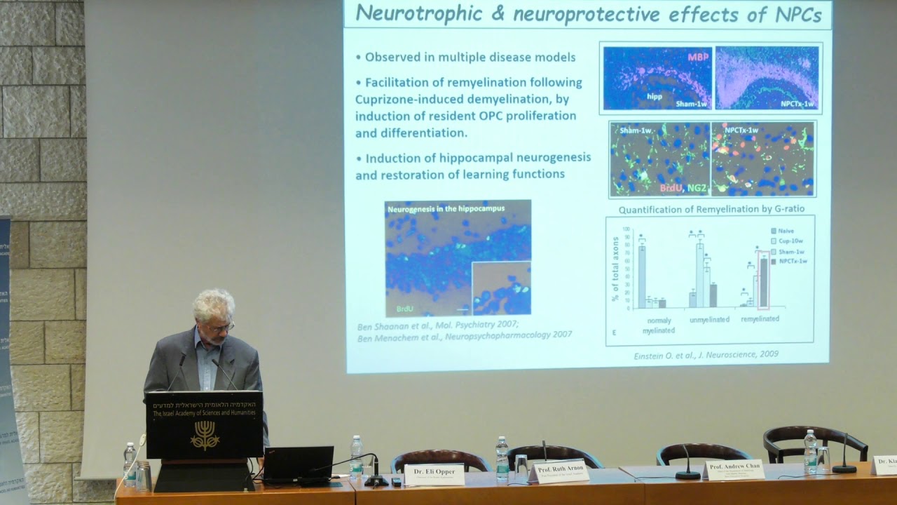 Prof. Michel Revel's 80th Birthday Symposium | 04/13 Regenerative ...