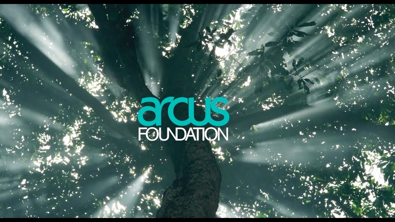 Arcus Foundation 2014 Annual Report: Showcasing LGBTQ Rights and Ape Conservation Work - YouTube