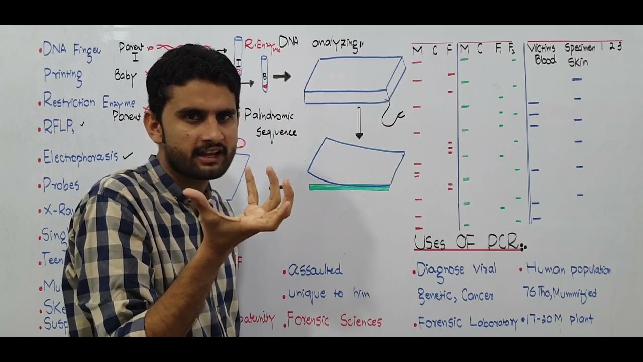 DNA Analysing||Lecture 6||chapter 23||F.Sc 12||Biology - YouTube
