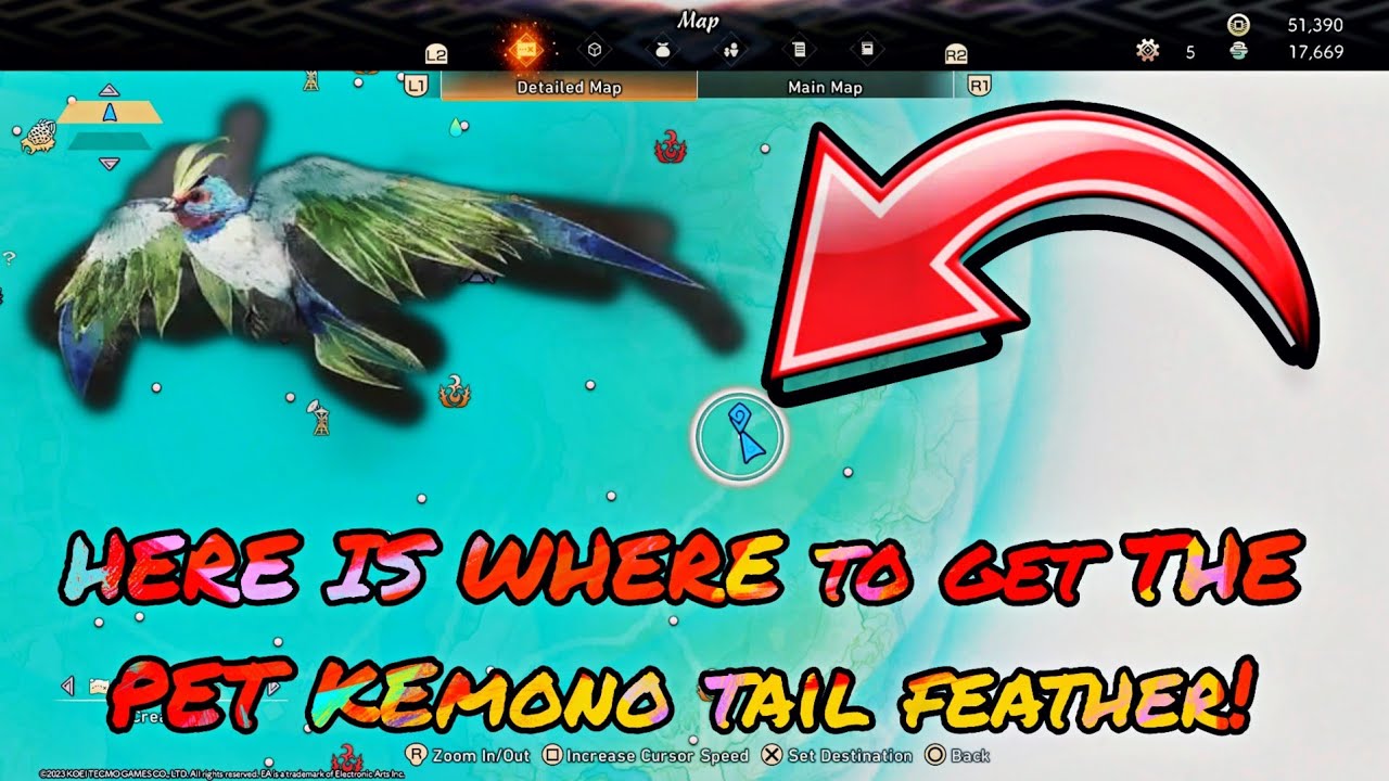 How to get the Pet Kemono Tail Feather! Wild Hearts! - YouTube